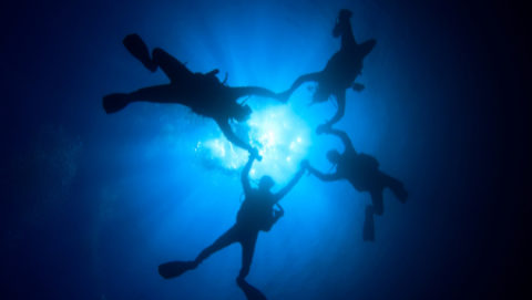 Welcome to Epic Diving FL.